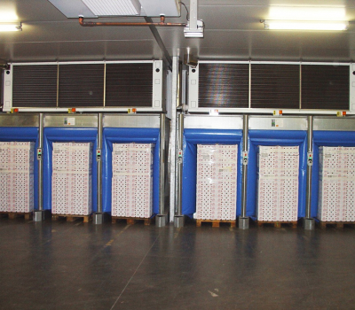 Rapid refrigeration cells for pallets yoghurt and fresh cheese - Fromfroid
