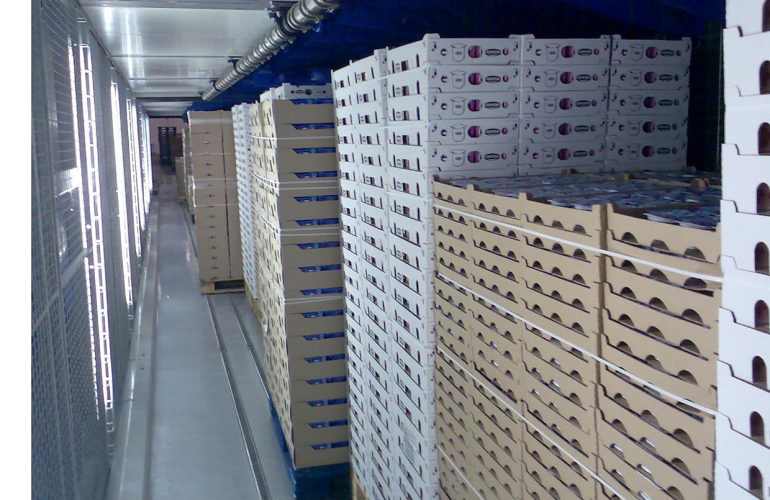 Expertise in Rapid Refrigeration for pallets - Fromfroid